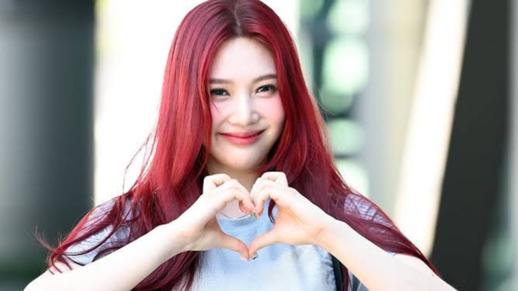 Red Velvet’s Joy Reveals Scheduler and Comeback Plans for “From JOY ...